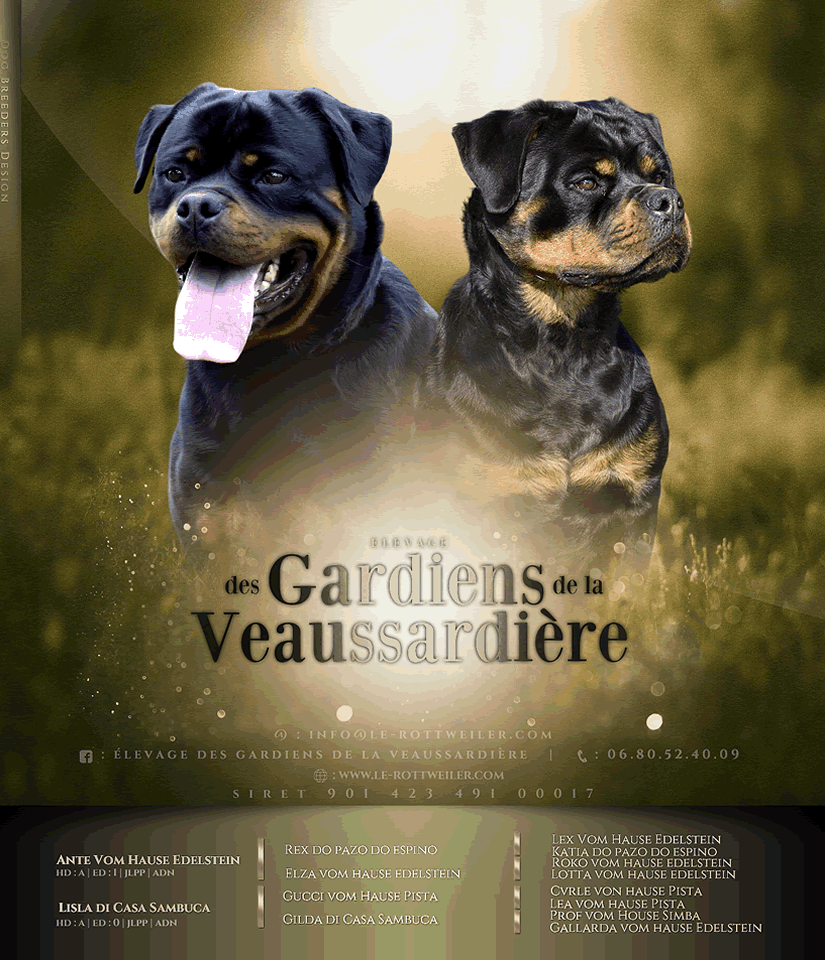 Elevage de Rottweiler